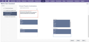 The Ultimate Guide to Matrix Items - SuiteAnswersThatWork