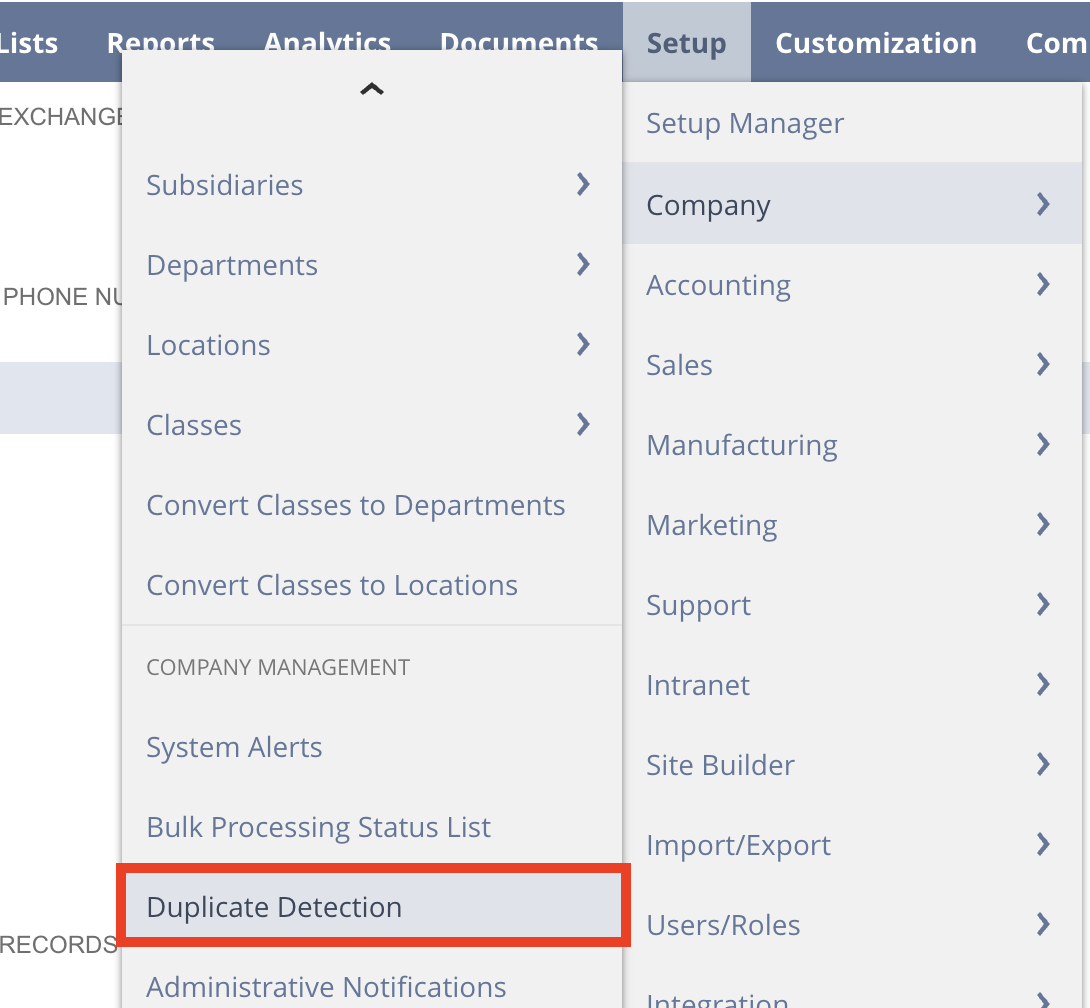 Why Duplicate Detection is Critical for Your NetSuite Instance